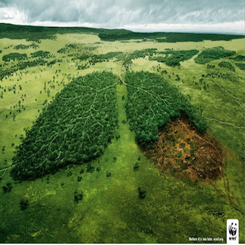 6 impactantes imágenes patrocinadas por WWF y Greenpeace